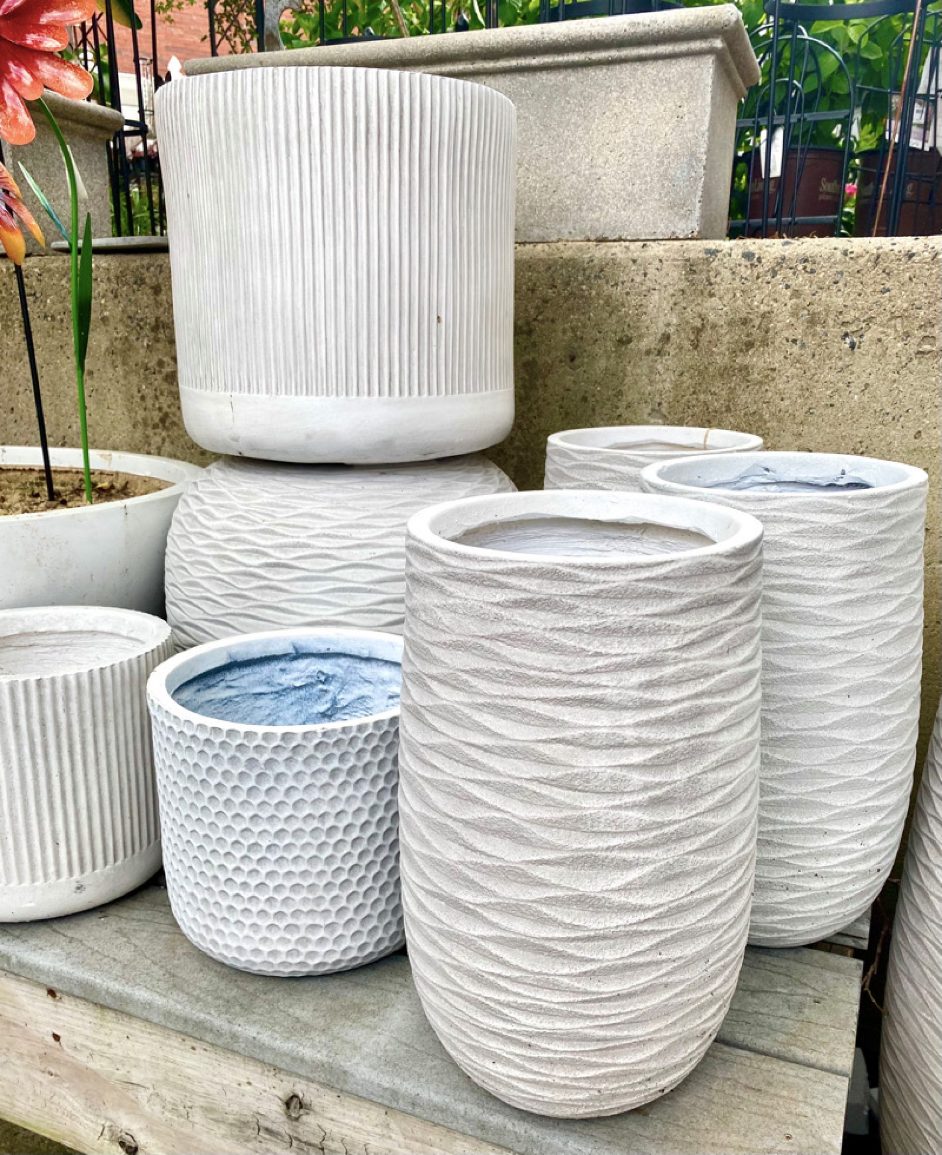 We Shop Pretty Pots and Plants for Summer Garden, Patio & Porch Color ...
