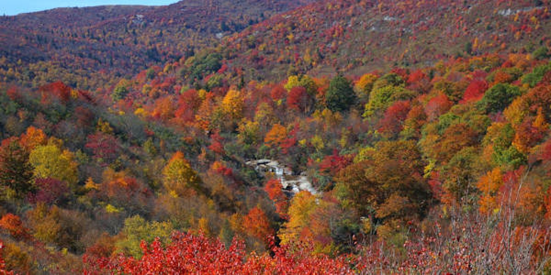 Leaf Peeping and Peak Color in the NC Mountains Fall 2023 | Scoop