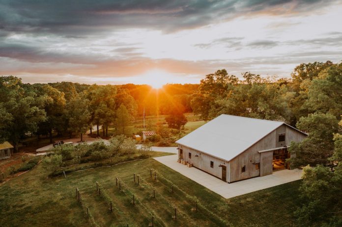 Bubbles & Bites, Slow Flow & Sound Bath, Bone Broth Workshops and More ...