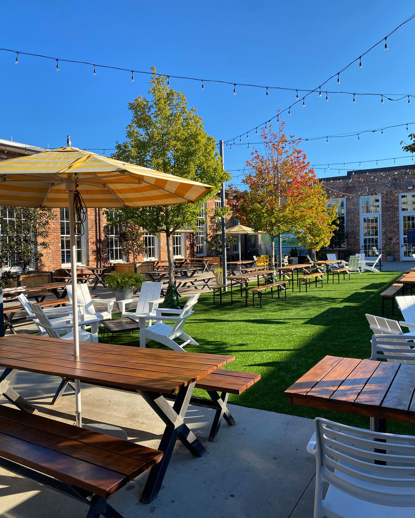 Pick Your Charlotte Food Hall. Our Guide to Six Local Food Halls. | Scoop