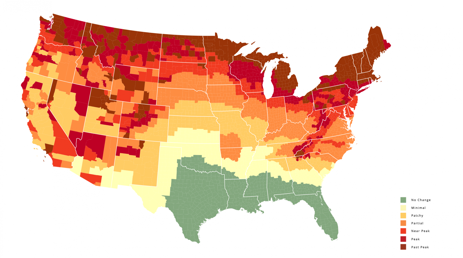 2024 Leaf Peeping Near Charlotte. Where to See Peak Fall Color in North ...